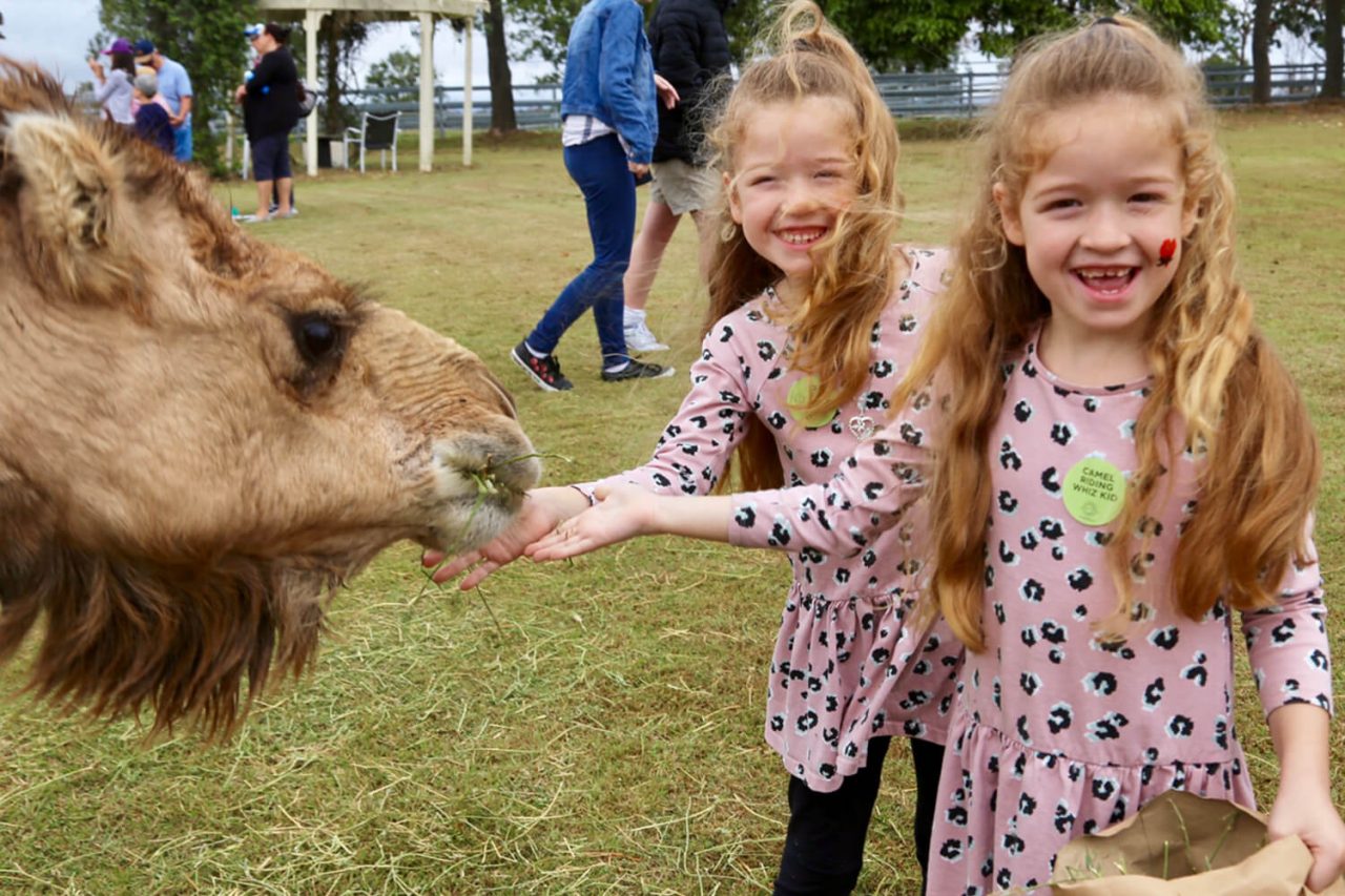 Calling hungry x curious kids! - Scenic Rim Eat Local Month 2026