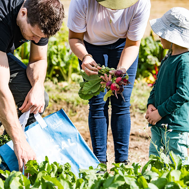 Where to Buy Local - Scenic Rim Eat Local Month